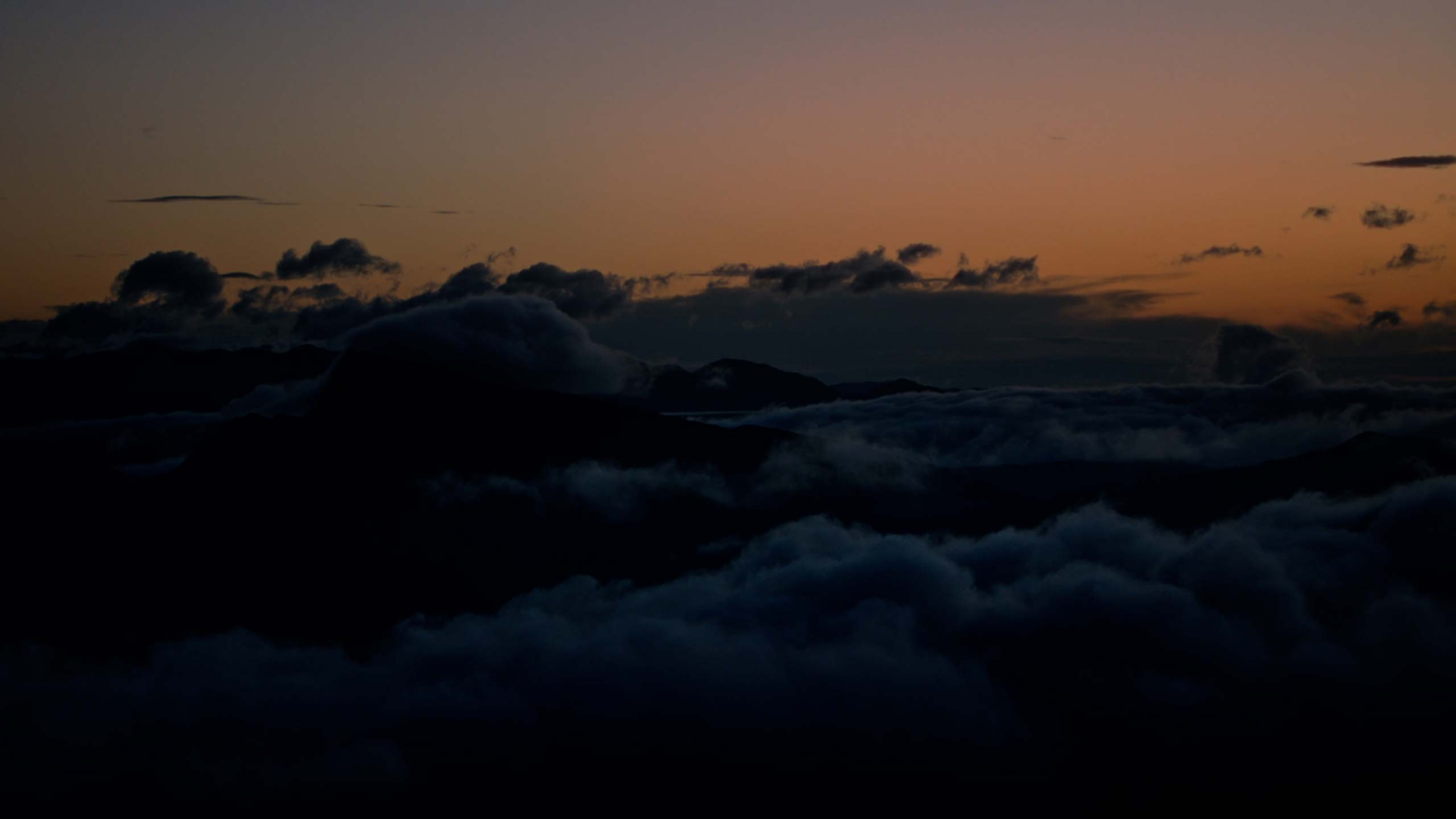 Dusk Video Submission - CHELSEA WOLFE